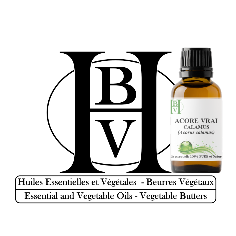 Calamus essential oil – Pure and natural – HBV