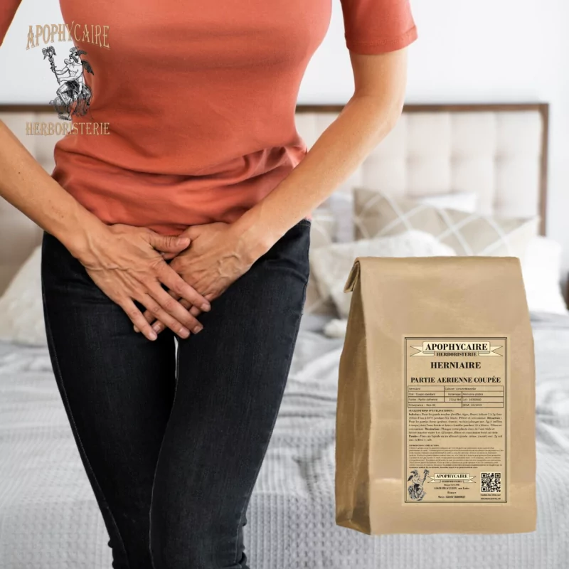 Cut hernia (Herniaria glabra) - Apophycaire